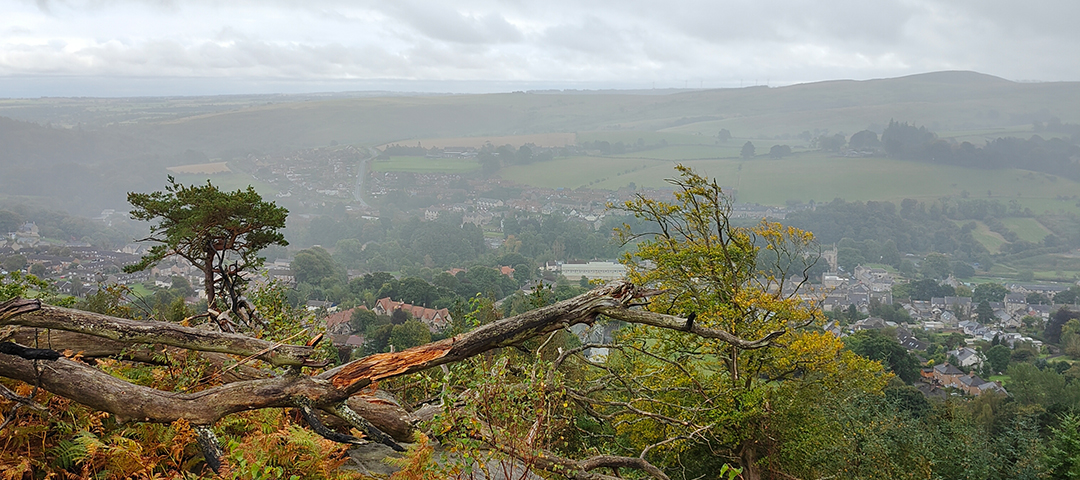 Carriage Drive Trail • Walks with the Wife