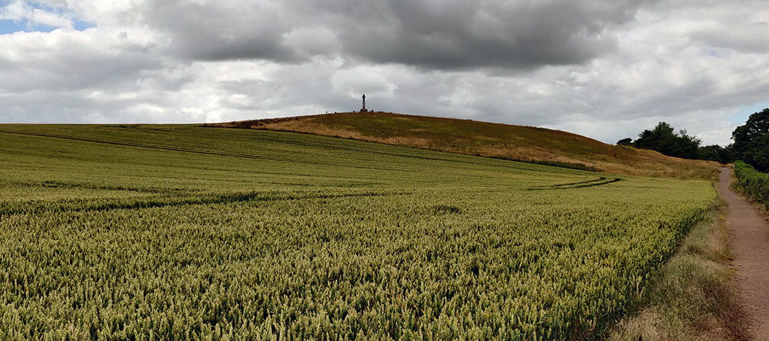 Flodden Field • Walks with the Wife