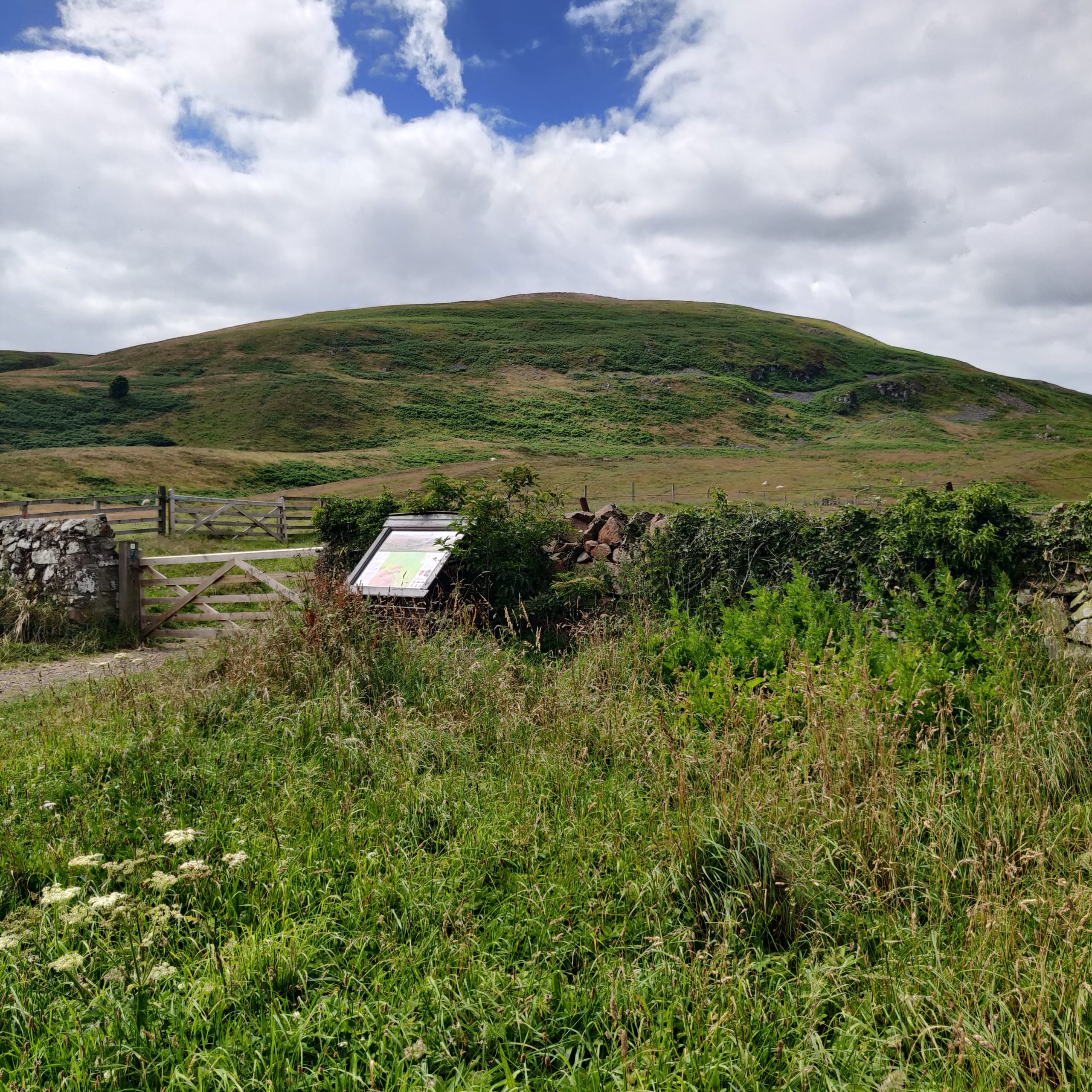 Humbleton Hillfort • Walks with the Wife