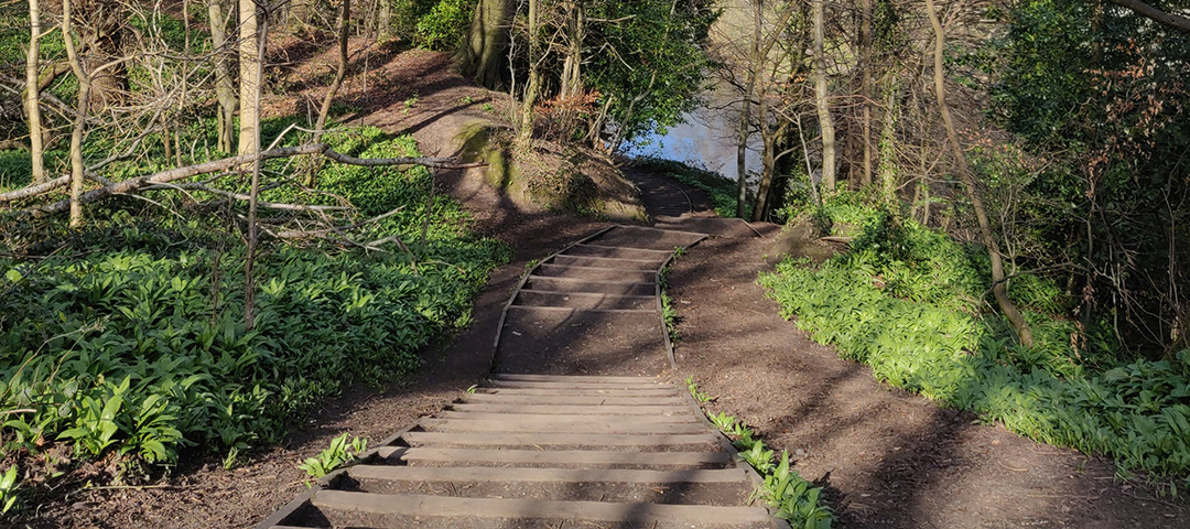 Morpeth Loops • Walks with the Wife
