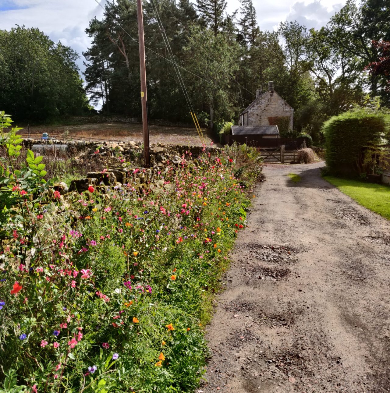 Old Rothbury Railway • Beamish & Rothbury • Walks with the Wife