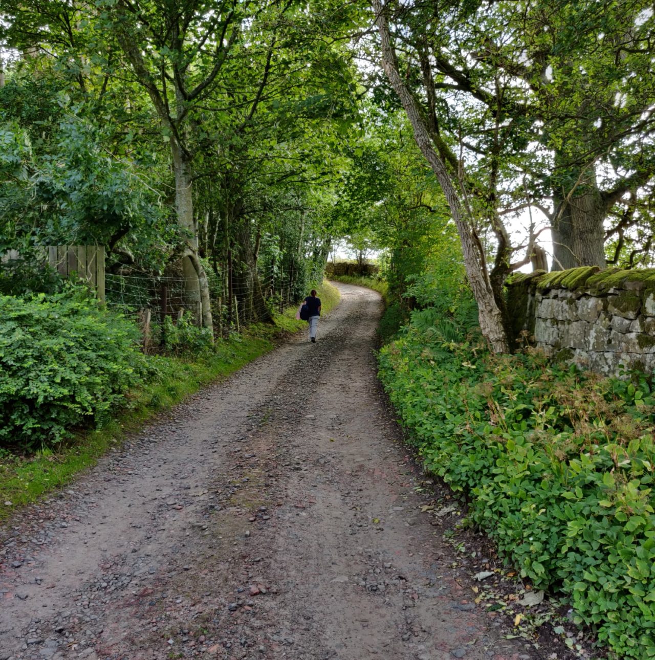 Old Rothbury Railway • Beamish & Rothbury • Walks with the Wife