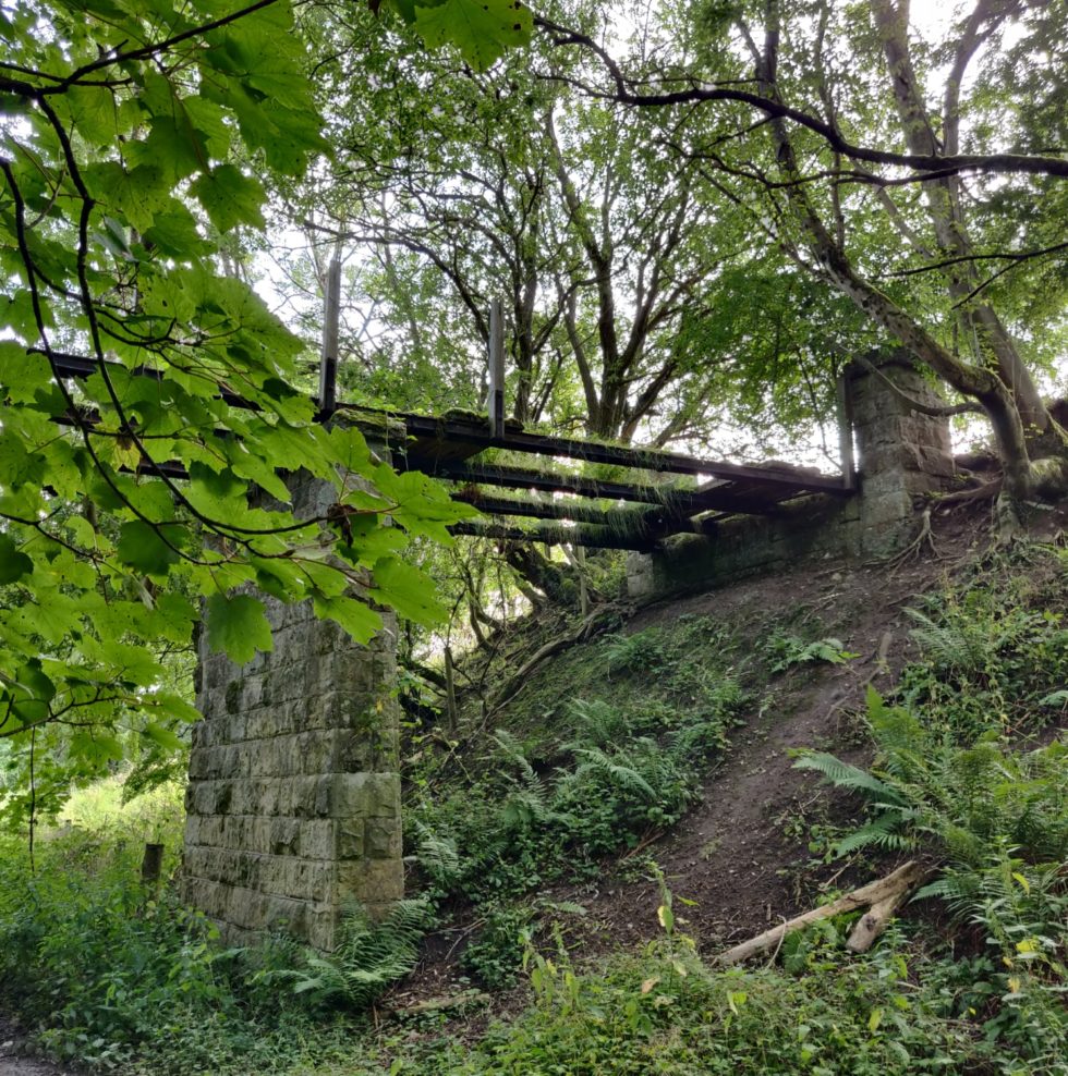 Old Rothbury Railway • Beamish & Rothbury • Walks with the Wife